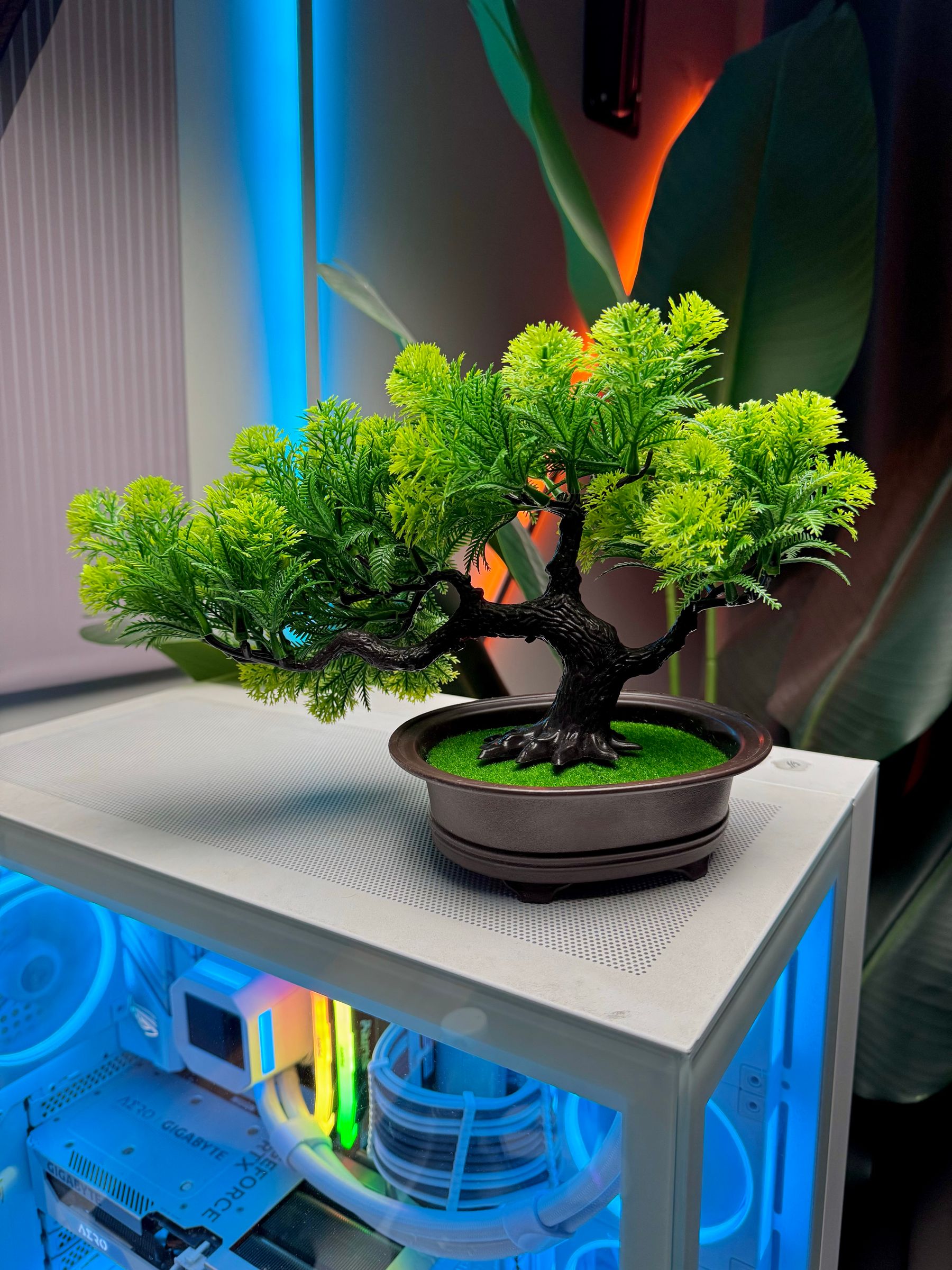 Homepage | Elabd.Studio